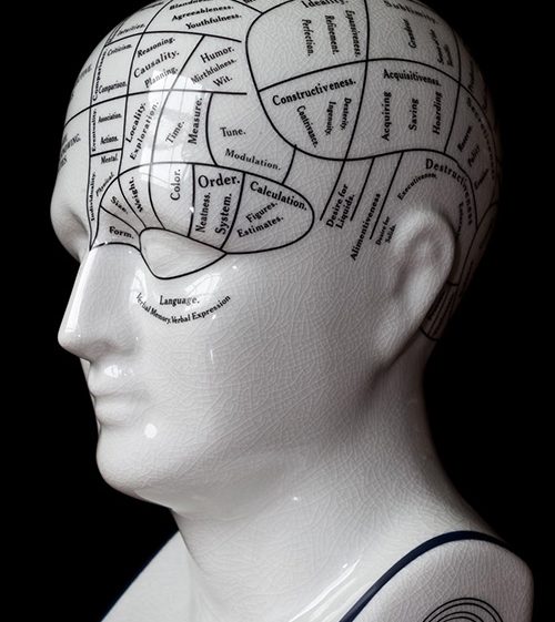 Get To Know More About The Pseudoscience Behind The Study Skull Shapes ...